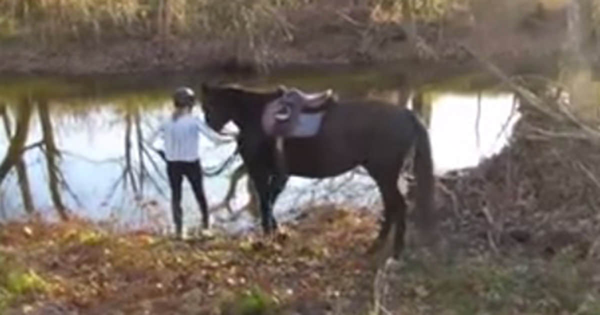 El caballo va bajar al agua pero algo está mal. 30 segundos después no ...