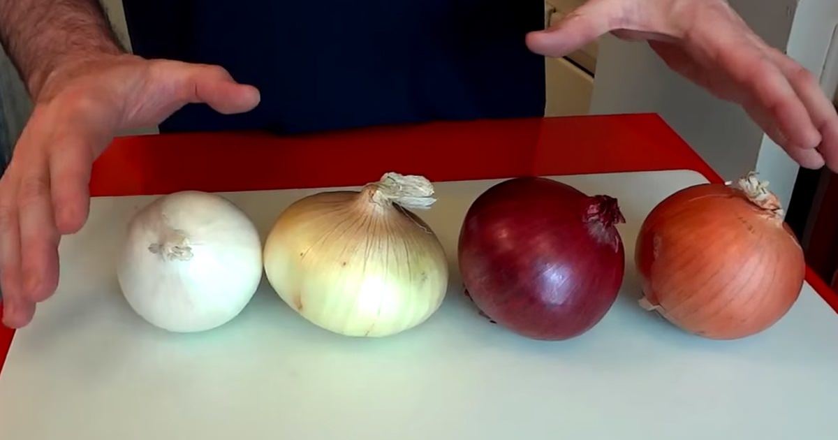 Muchos comen la cebolla de manera equivocada – este chef revela sus ... Muchos comen la cebolla de manera equivocada – este chef revela sus ...