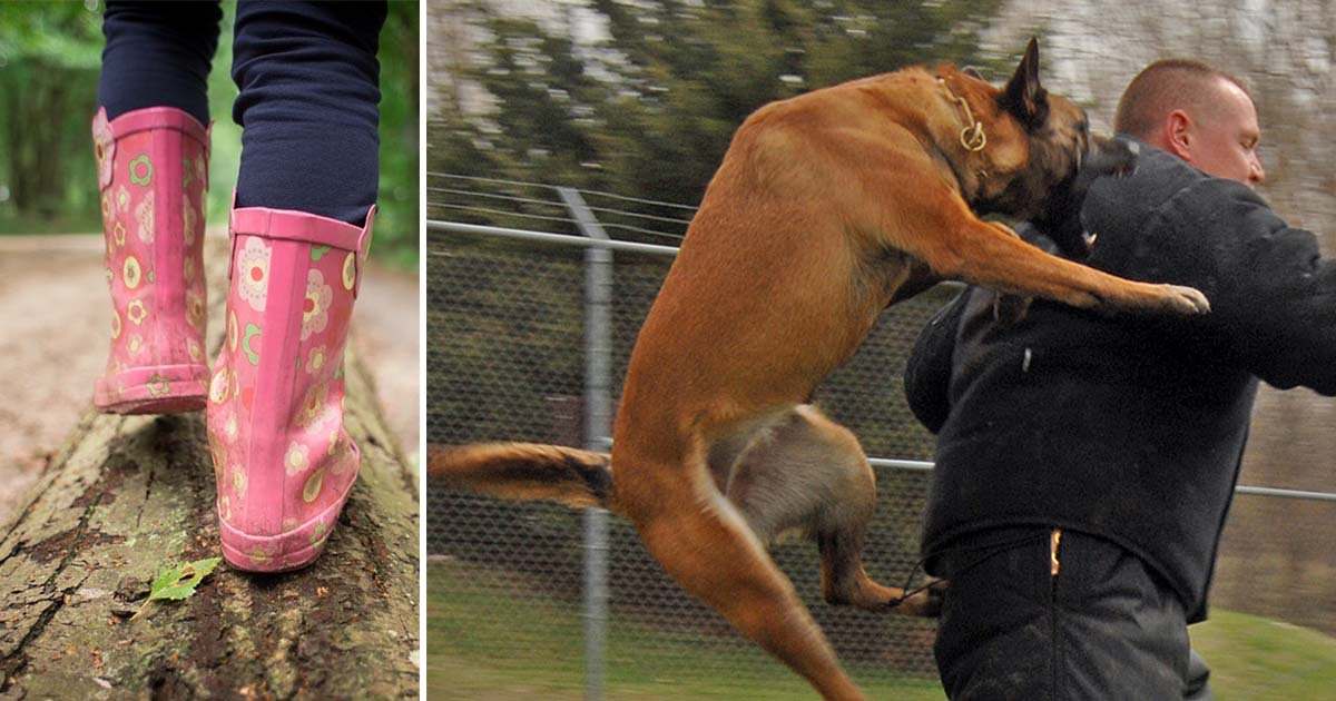 Hombre mayor ataca a la niña de 10 años, entonces el perro héroe actúa ...