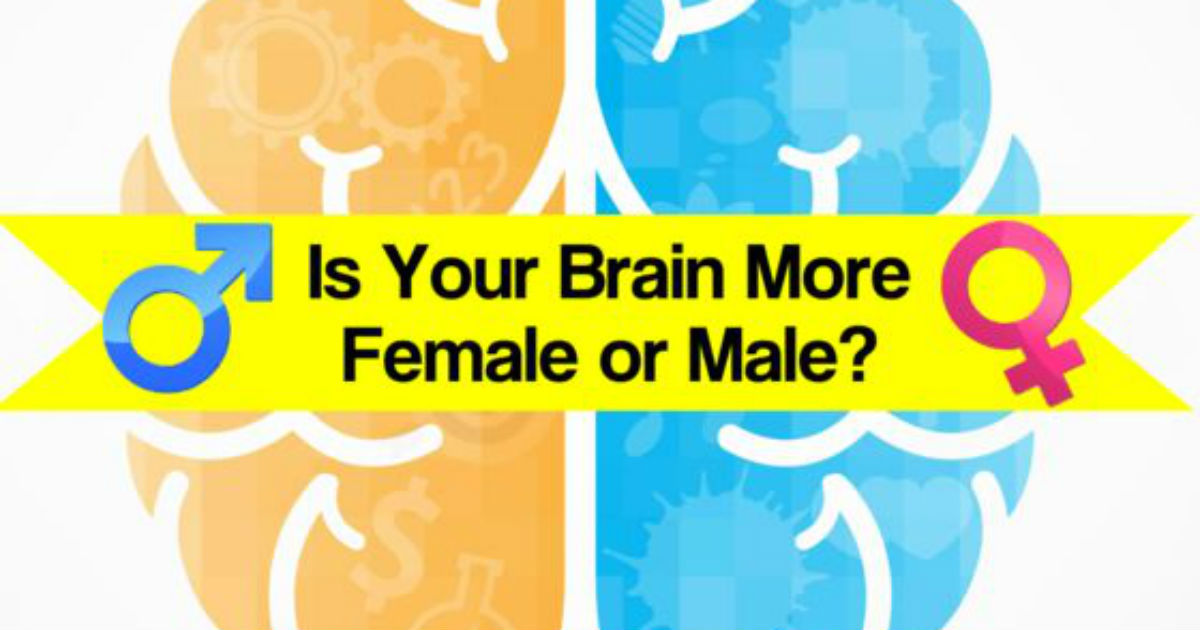 How Female Is Your Brain? This Test Explains A Lot.