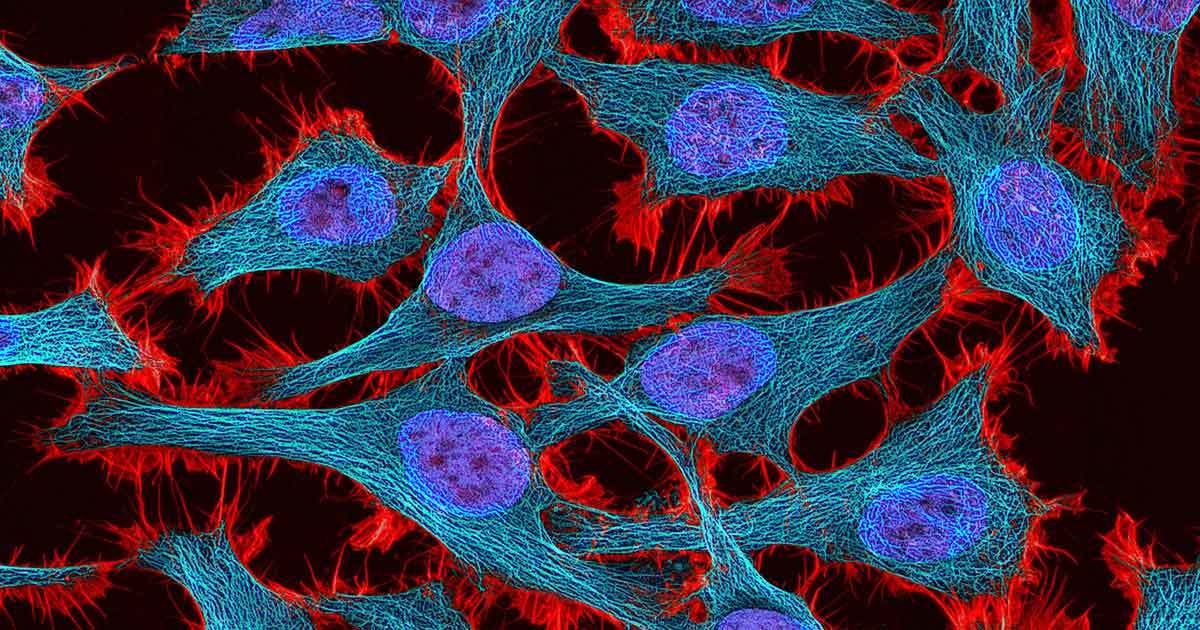 Scientific Breakthrough Shows Promising New Cure For Cancer.