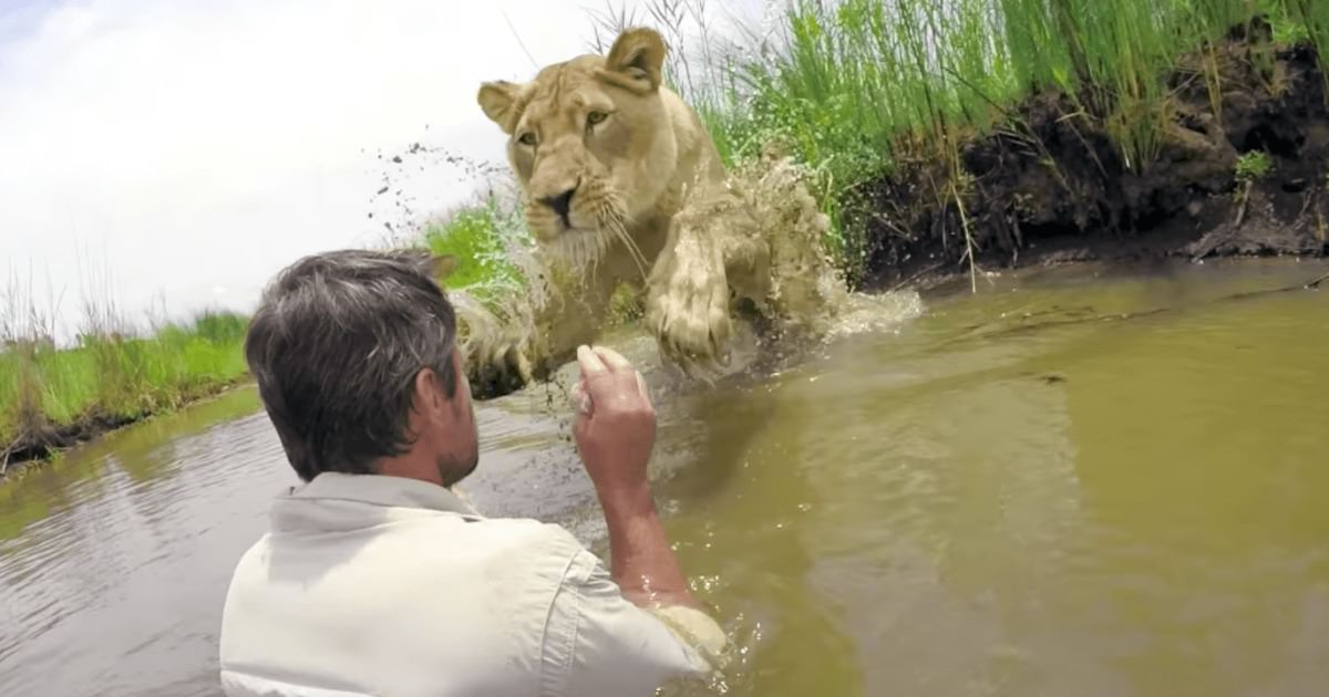 7 years after saving lion's life, man meets her again, ignores warnings ...