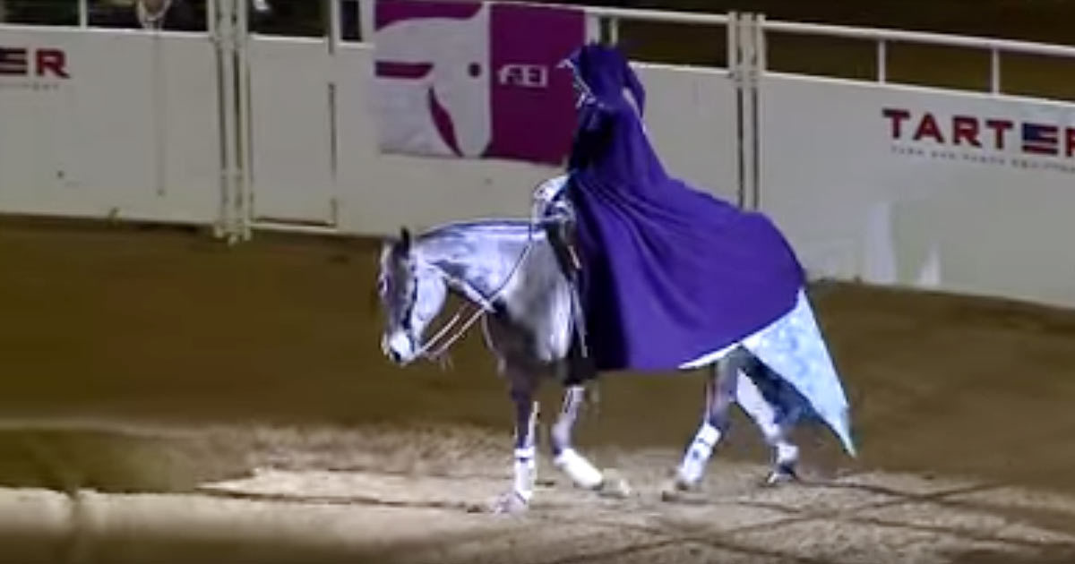 Horseback Rider's 'Frozen' Routine Wins Her World Freestyle Reining ...