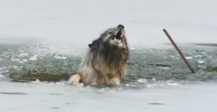 ice - Read up on all the latest about ice on Newsner