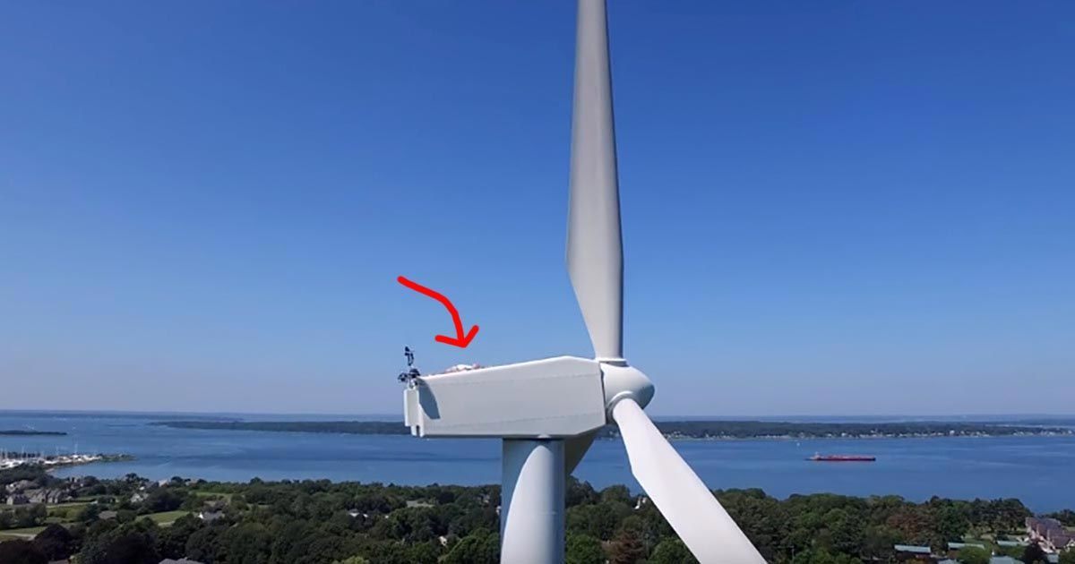 Drone flies over wind turbine – then its camera captures an interesting ...