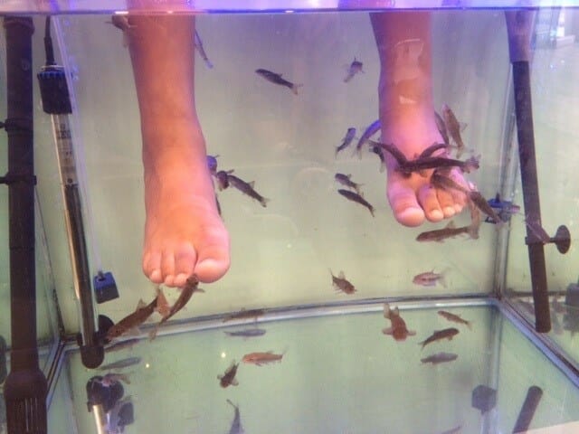Fish pedicures: Everyone should read this before undergoing 'treatment'