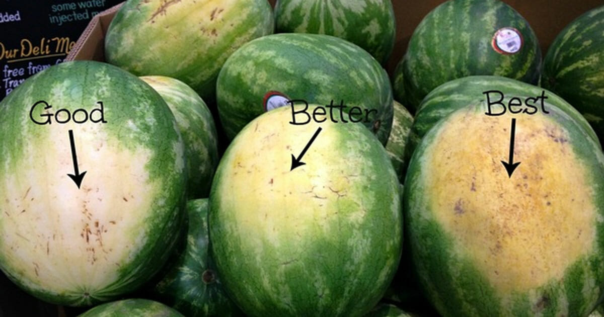 watermelon - Read up on all the latest about watermelon on Newsner