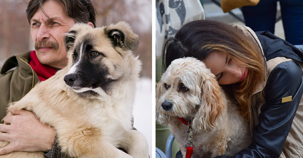 Studies show humans love dogs more than they love other humans