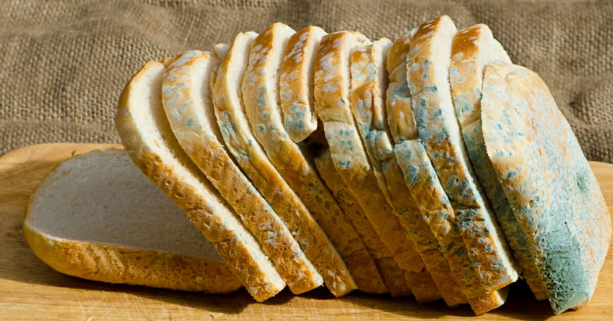 Moldy bread: Here's what happens when you eat the 'clean' part