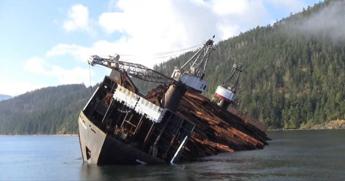 Dramatic video shows barge nearly capsizing to unload logs into the water