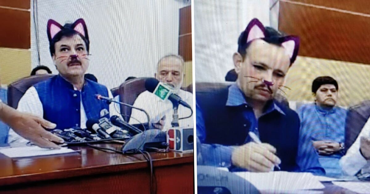 Cat filter accidentally turned on during Pakistani politician's livestream
