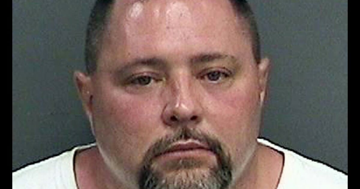 Man who allegedly killed Pinky the flamingo struck by a truck