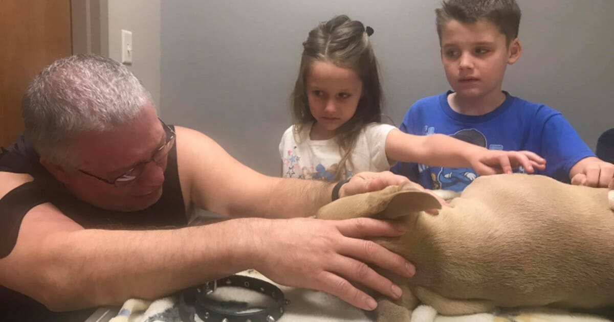 Dog doesn't want to leave his owner after being dumped at shelter Dog doesn't want to leave his owner after being dumped at shelter