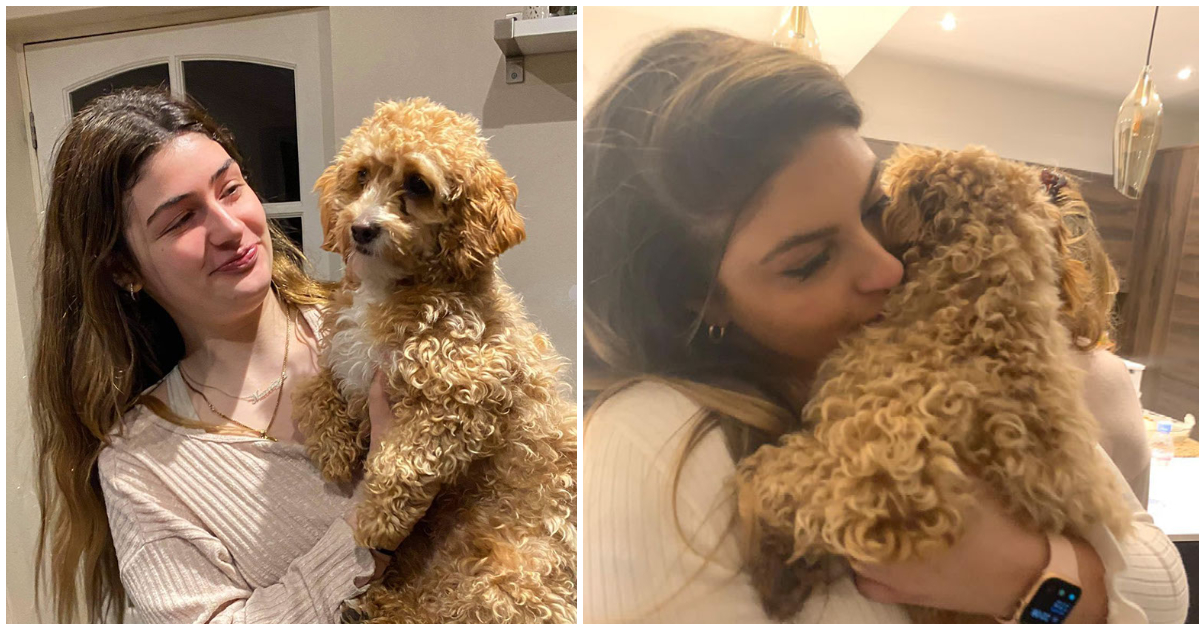 Dog kidnapped by thieves in van reunites with her owner after weeks apart