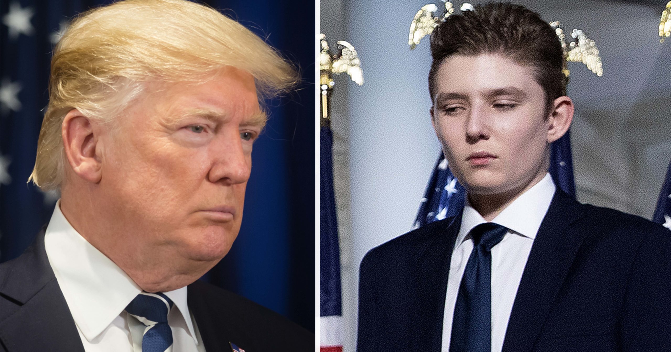 Barron Trump refused to tell father Donald Trump "I love you" out loud