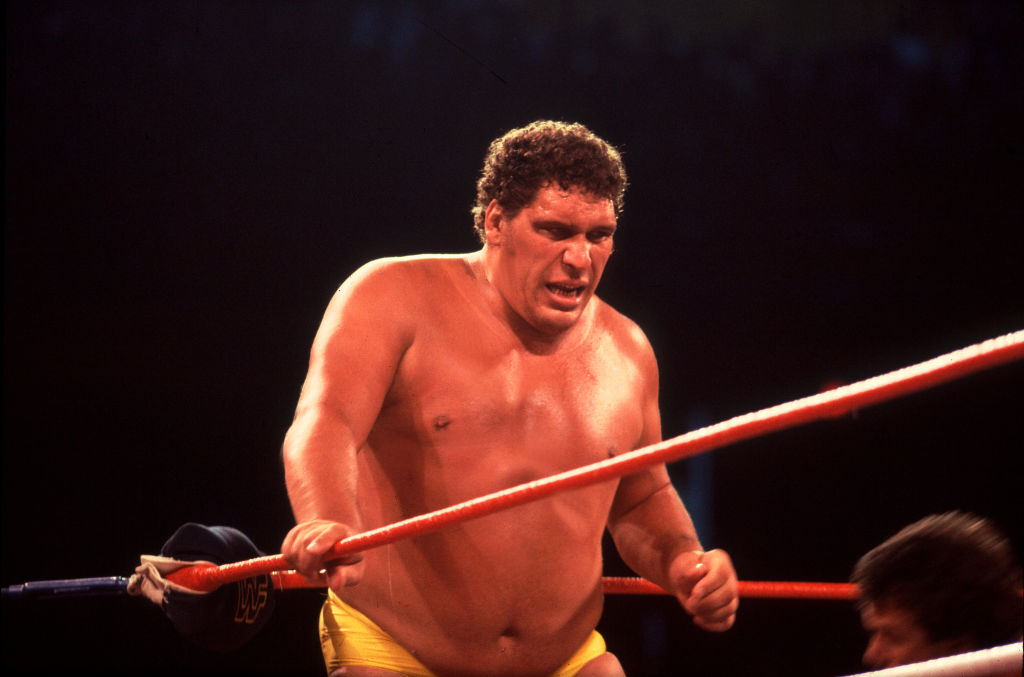 Andre the Giant: Net worth, career, weight and true height