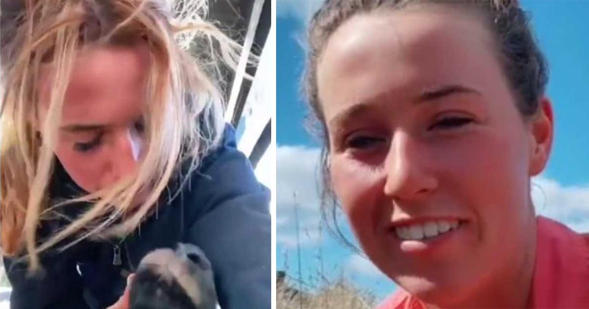 19-year-old farmer and TikTok star Caitlyn Loane, dies by suicide