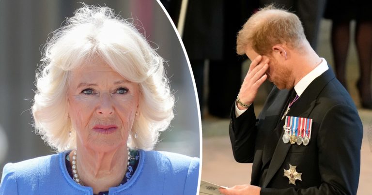 Harry gave Camilla 'long, cold glances' that she found unnerving ...