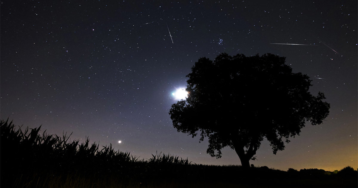 Årets största stjärnfall är här – så upptäcker du det magiska fenomenet