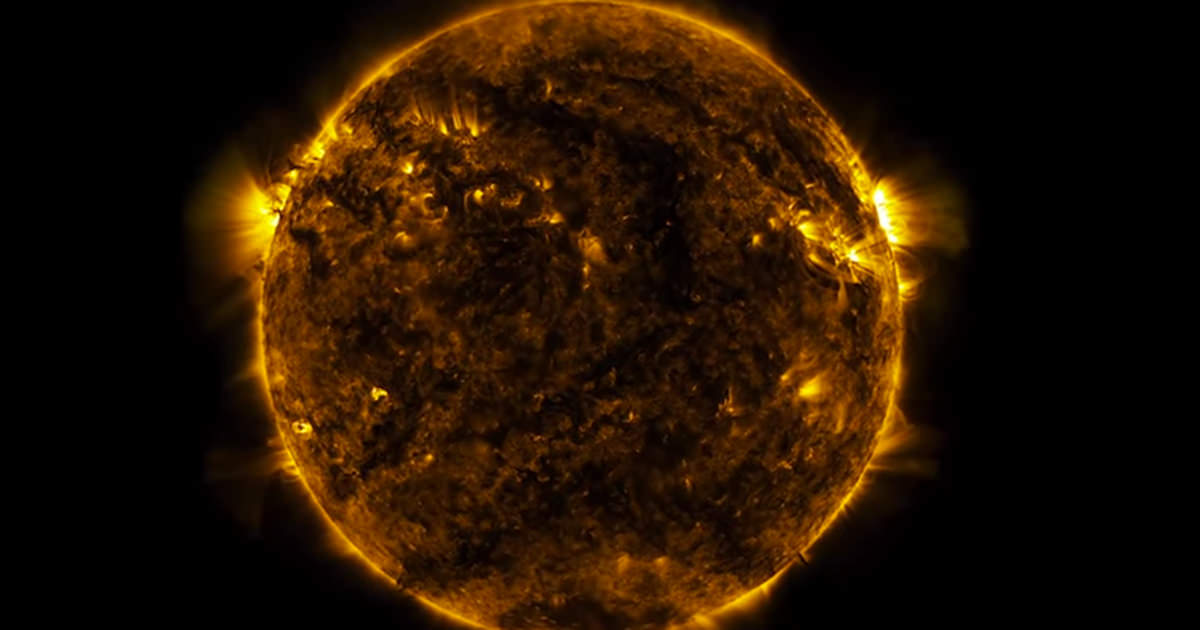 De filmade mot solen i 5 år. Men det de fick se… Ingen var förberedd på ...