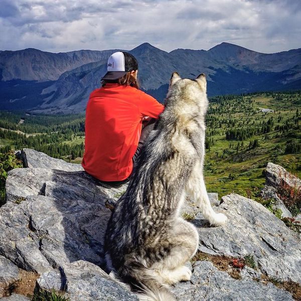 Halb Hund, halb Wolf – und die Bilder seiner Reisen rauben den Atem