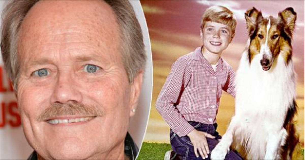 O pequeno Timmy da Lassie revela os segredos da cadela mais famosa da TV