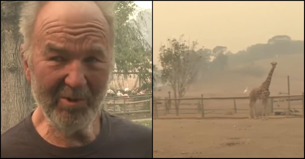 Toni Doherty's Instagram, Twitter & Facebook on IDCrawl