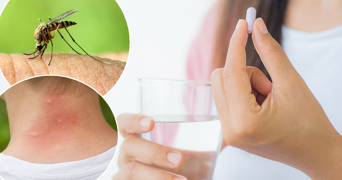 Geen muggenbulten meer: hier is het ingrediënt waardoor muggen je ...